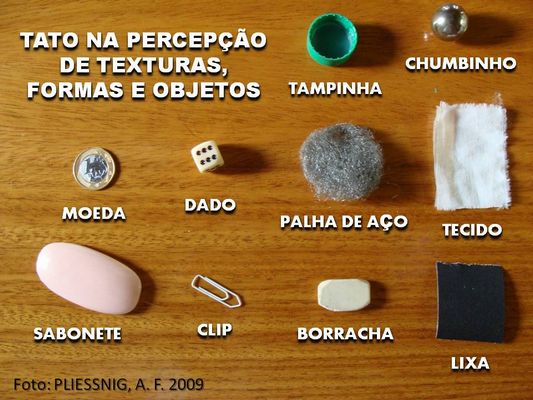LINGUAGEM E AFINS: Sentido do tato/Inclusão 18/06/11