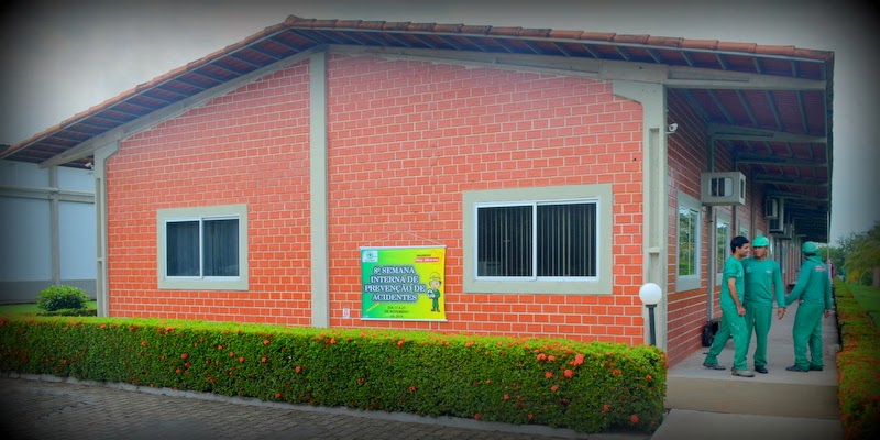 CIPA E FRIGORIFICO RIO MARIA REALIZAM SEMANA INTERNA DE PREVENÇÃO A ...