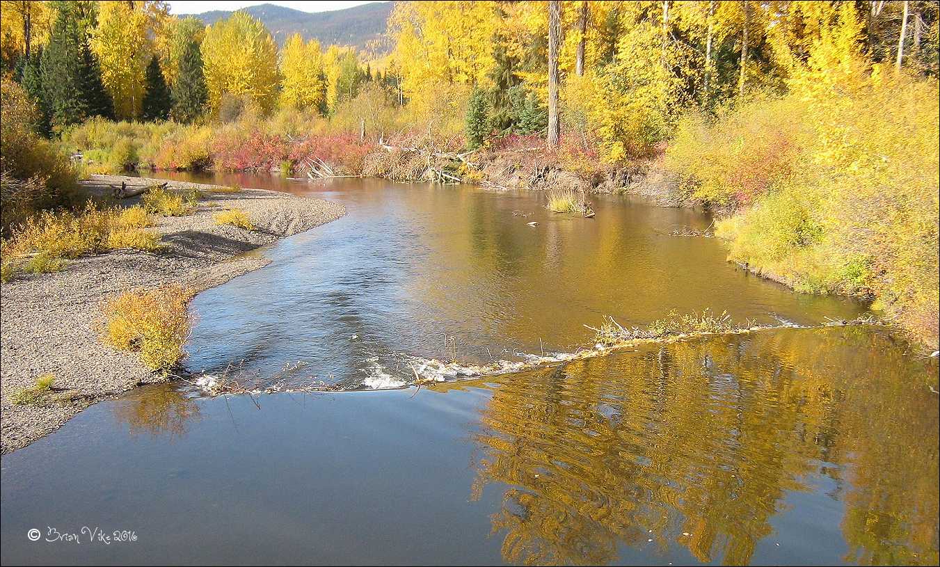 Northern Interior British Columbia: Fall Beaver Dam Bulkley River ...
