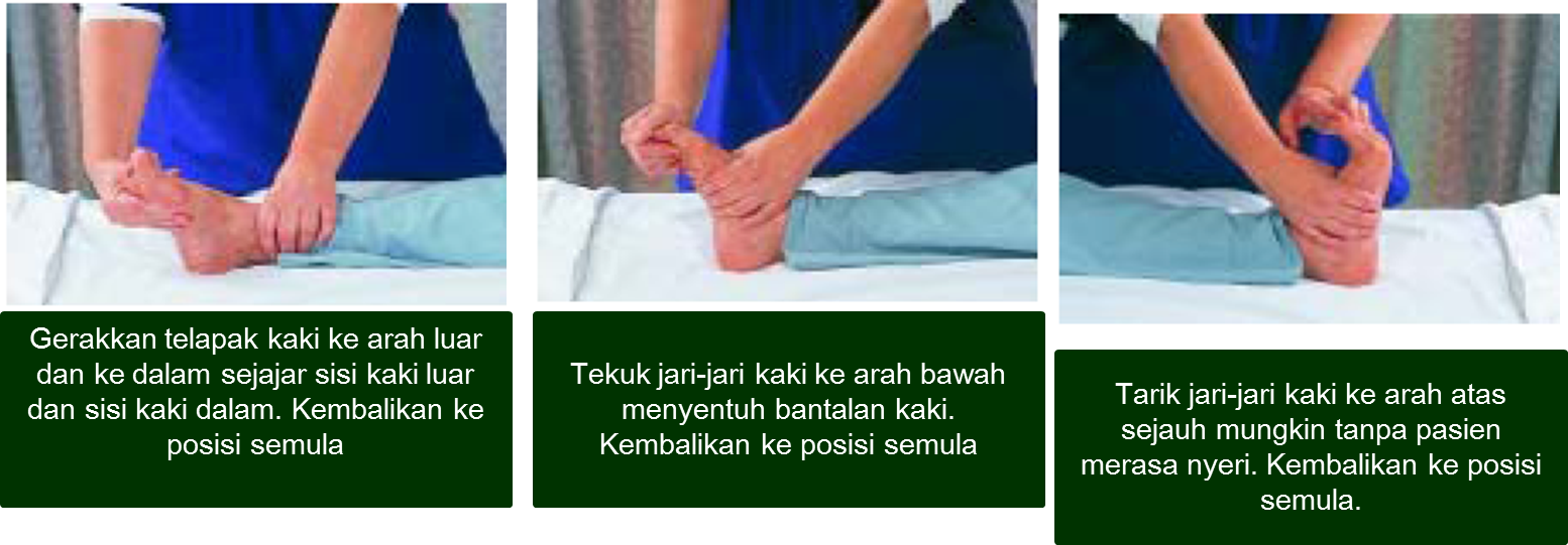 Sistem Muskuloskeletal: LATIHAN RENTANG GERAK SENDI - RANGE OF MOTION (ROM)