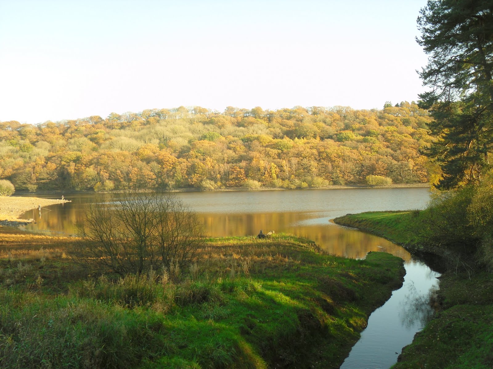 Rambling Nana: Wolsingham, Tunstall Reservoir Circular