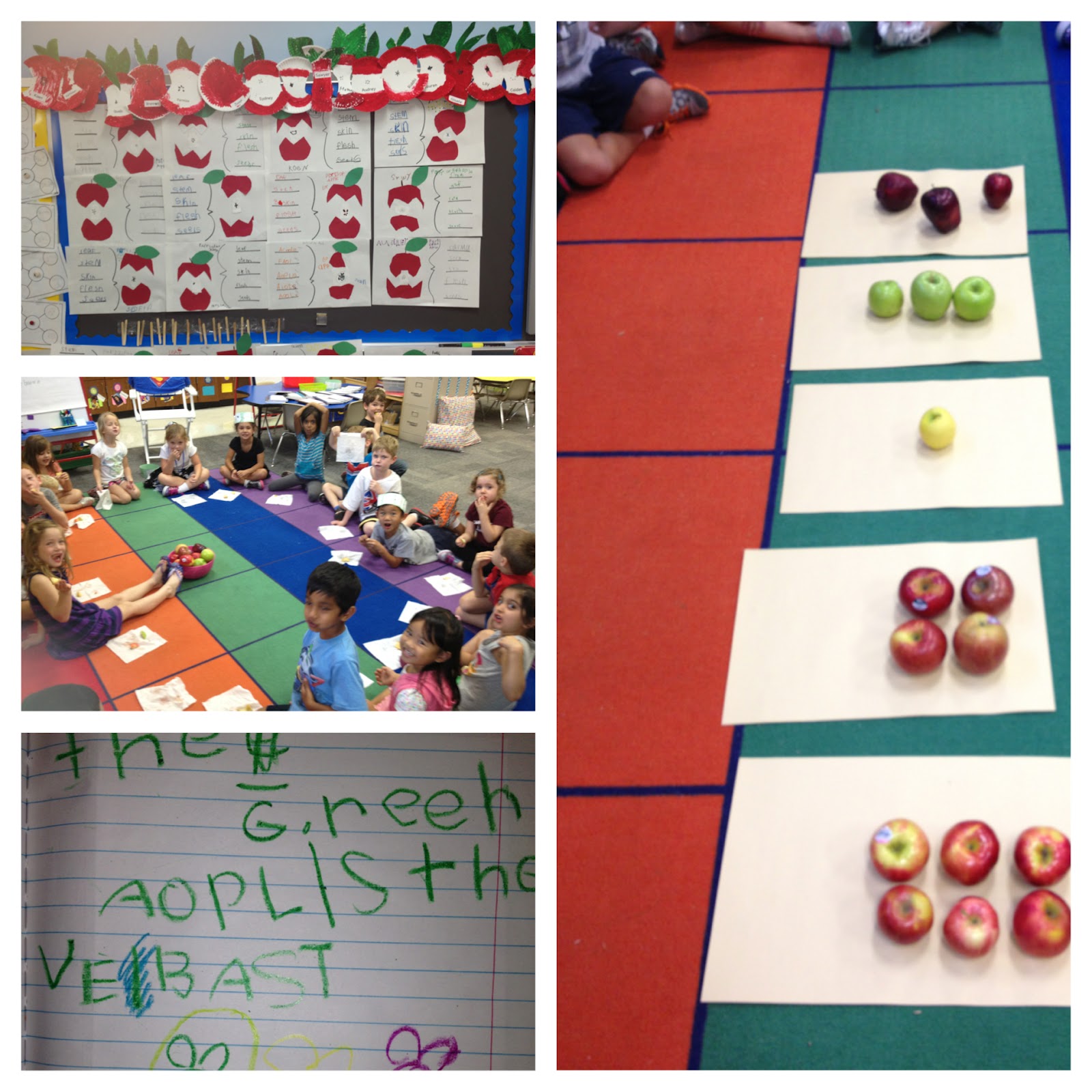 Harris Happenings: Apples, Apples,EVERYWHERE!