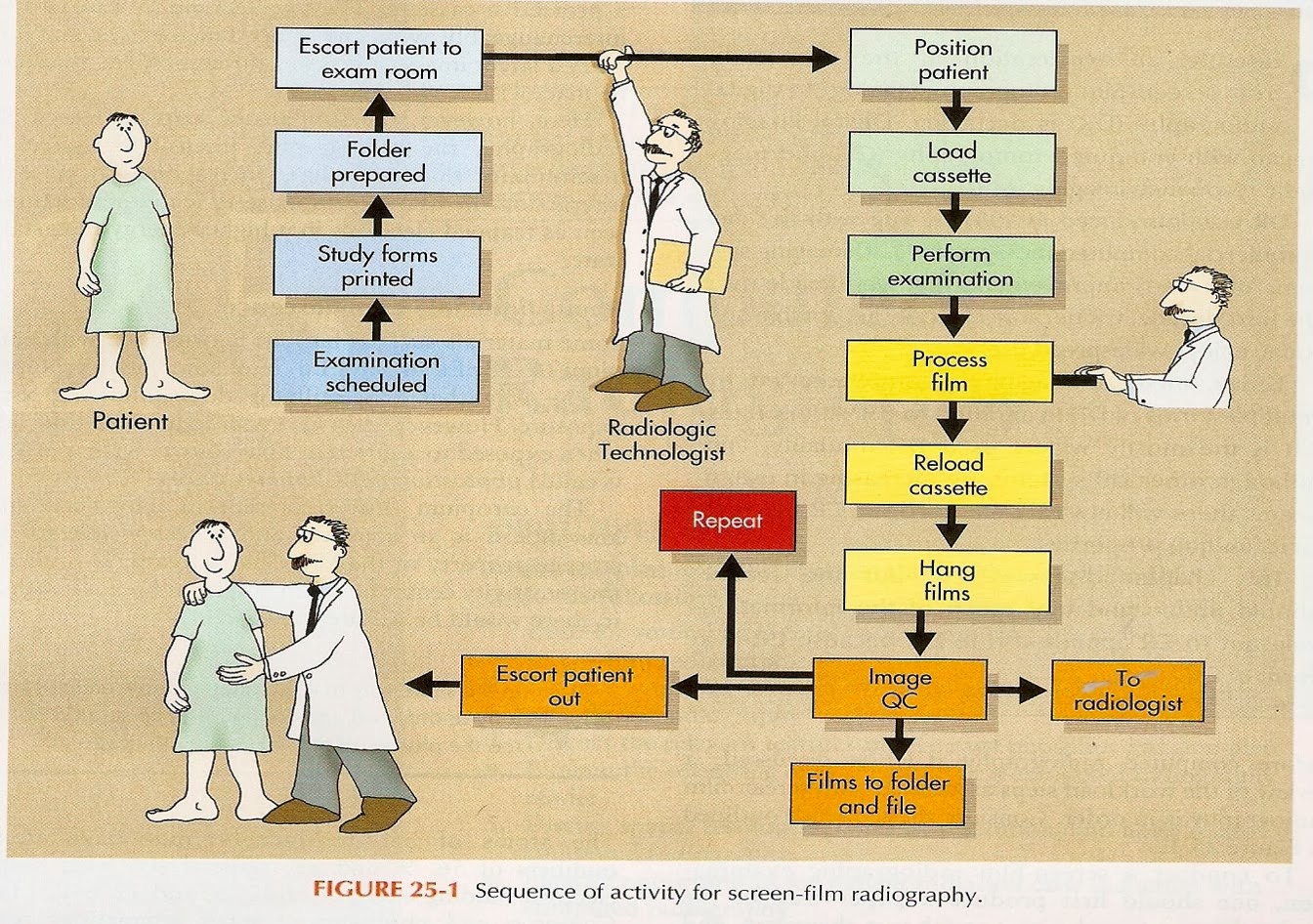 Nova Ariesta: Perkembangan Alur Pemeriksaan Radiologi