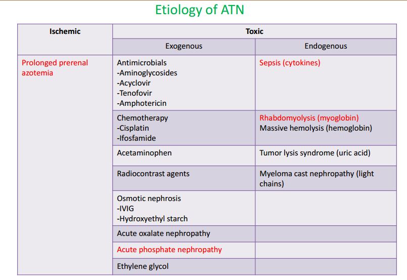 Tutor's Notes: general, cardiovascular, respiratory and renal ...