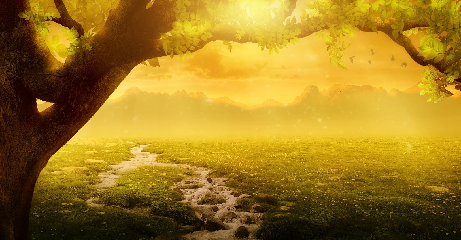 THE WORDSMITH MILL: A BEAUTIFUL SUN