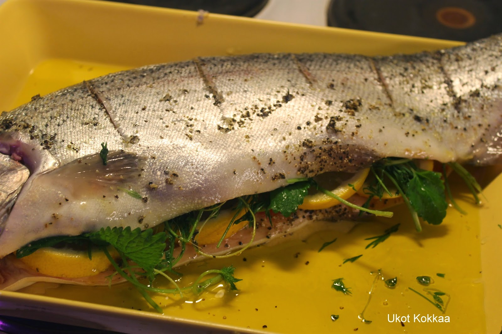 Ukot Kokkaa: Uunissa paistettu kokonainen lohi
