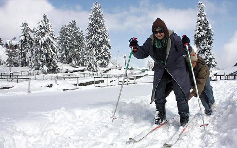 Best Adventure Activities in Shimla - The Best India Tours