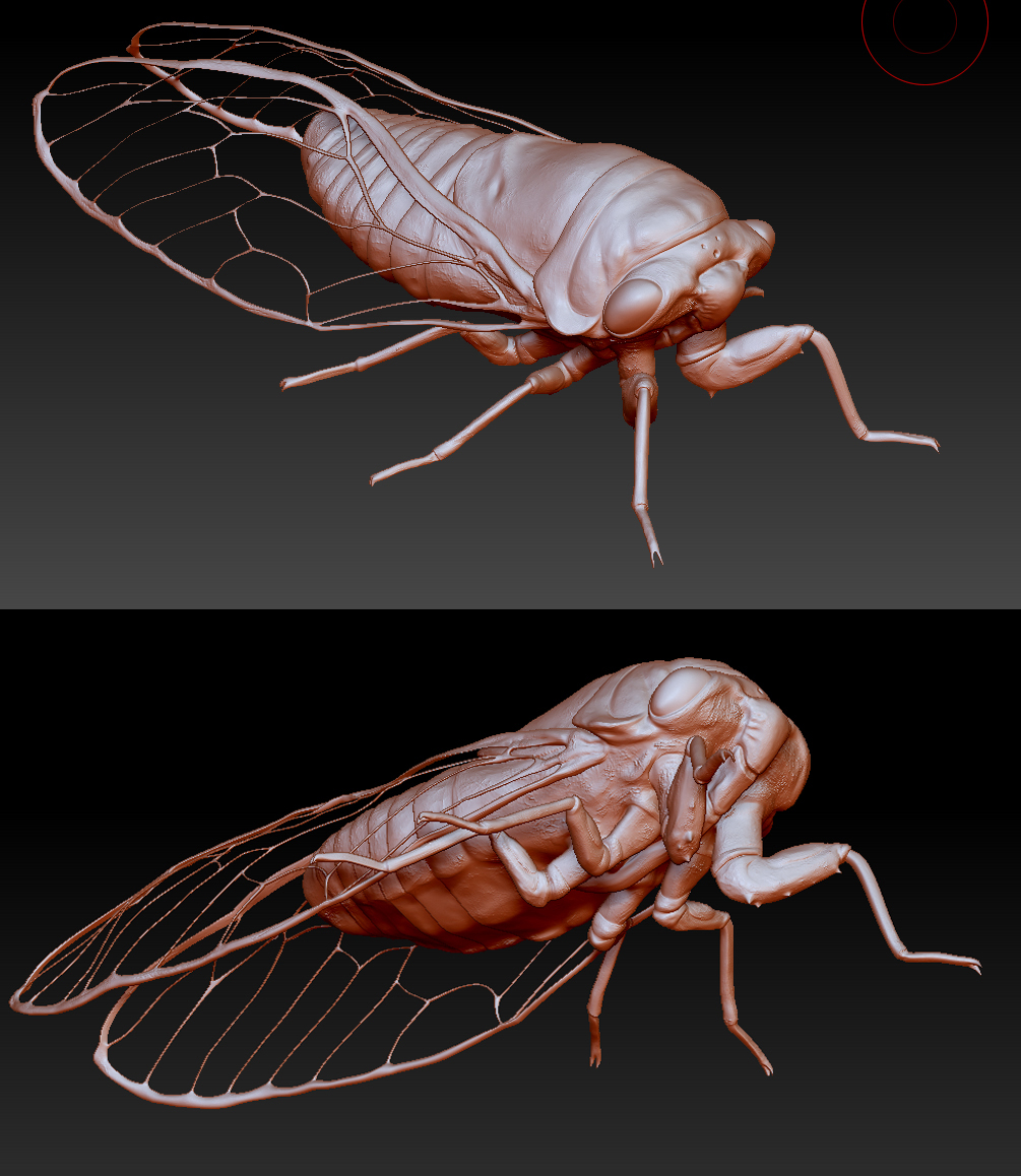 Nathan Jones - Digital Artist Blog: Green Cicada