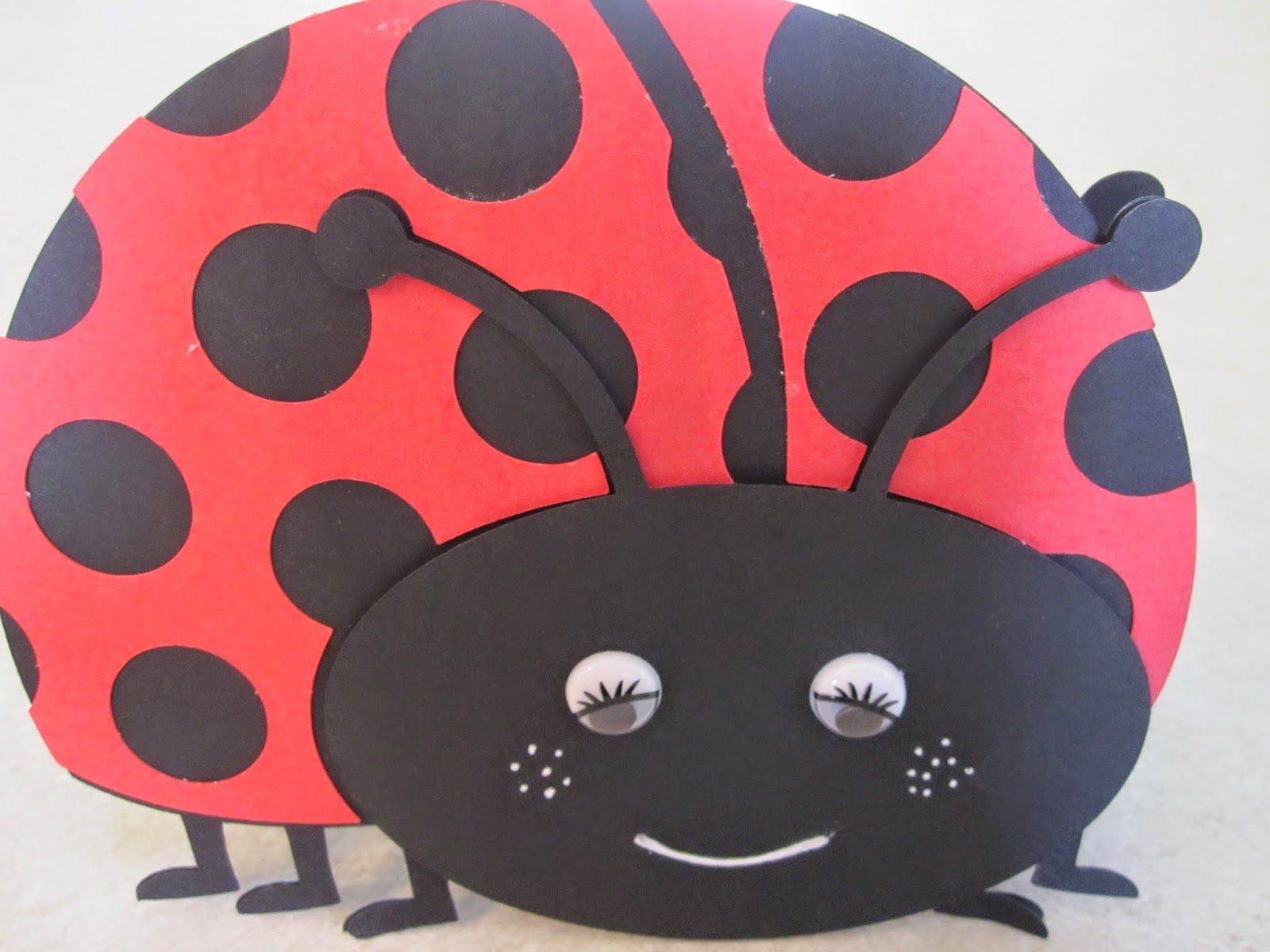 She's a Sassy Lady: Little Ladybug