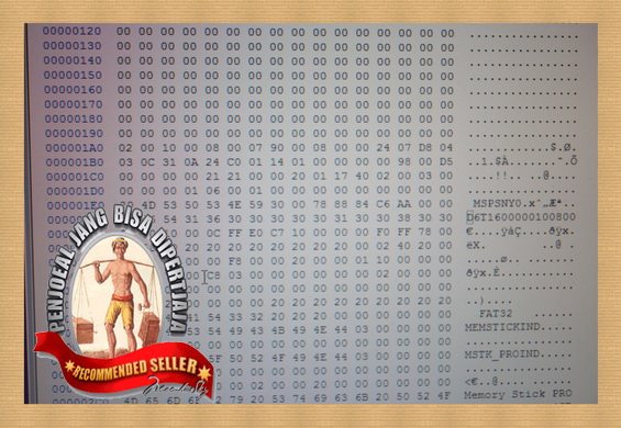 rellpost: ALTERNATIVE SOLUSI UNBRICKED PSP2000 TA088V3