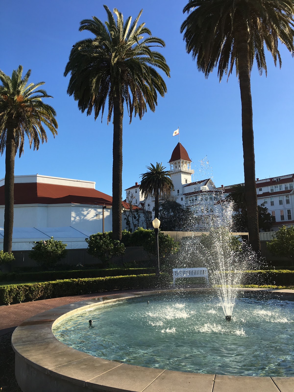 Navarro Photography: Color