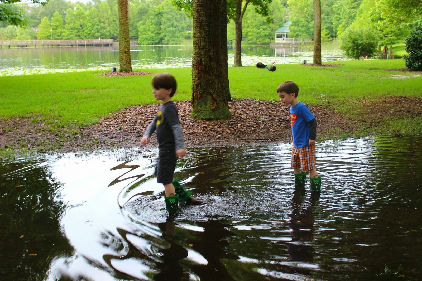 Epic Childhood - Reggio, Light Table Play, and Light Play: Rain and ...