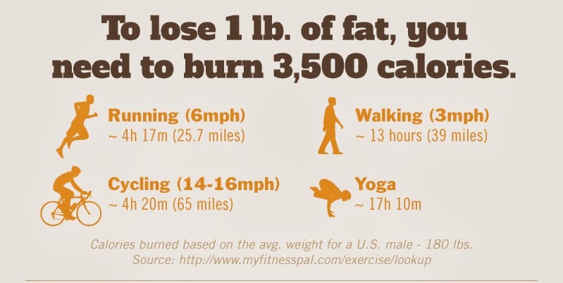 Lose Weight Fast Tips Pro Ana - delightgala