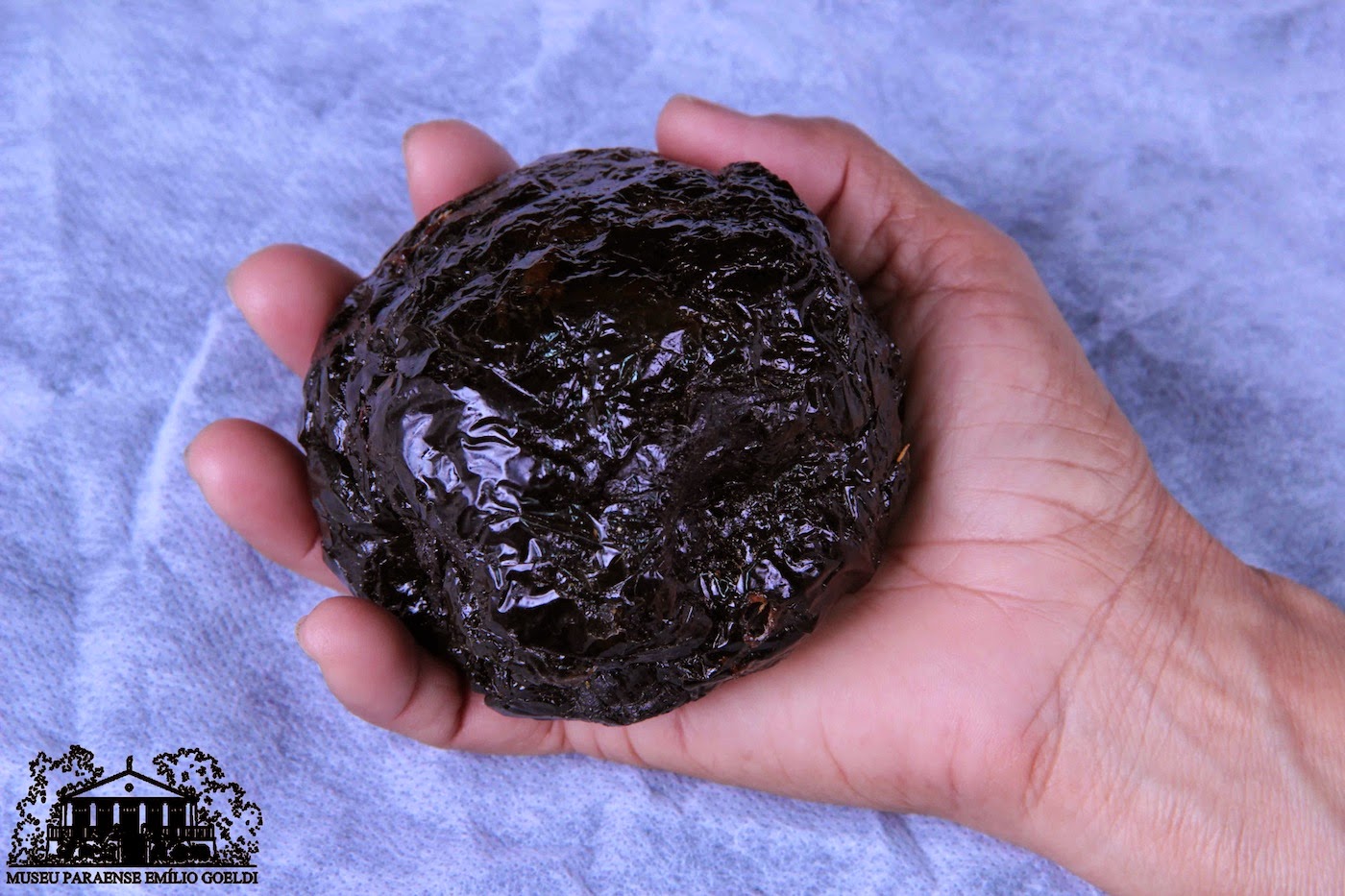 Notes from the Ethnoground: Mashco-Piros on the Verge: Missionaries ...