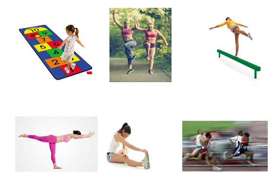 Science Class: Sistema Locomotor 5°