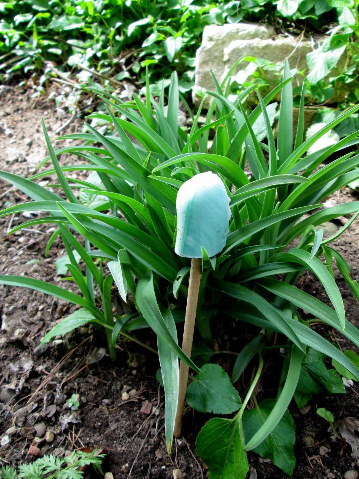 JUST SIMPLE SOMETHINGS: Irish Spring Deer Repellent