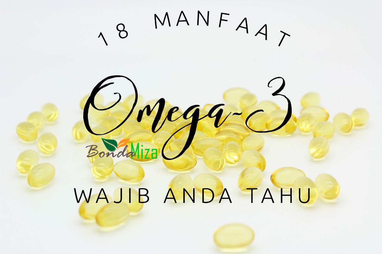 OMEGAGUARD SHAKLEE : 18 MANFAAT OMEGA-3 WAJIB ANDA TAHU - Bonda Miza ...