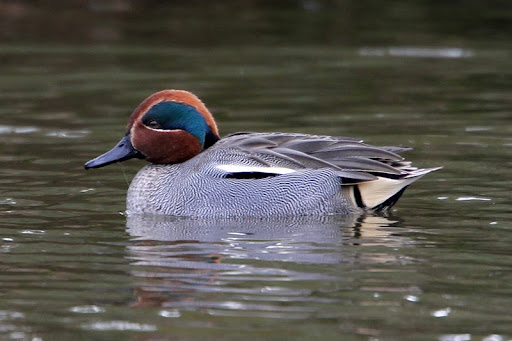 Color Changes Everything: February 2012