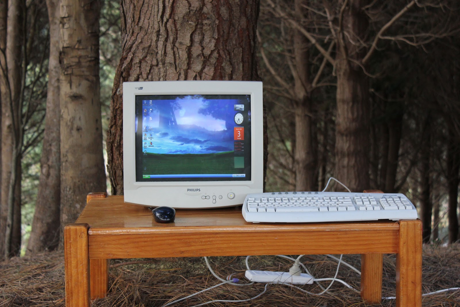 Jayden Robert Hamilton DSDN: In The Forest