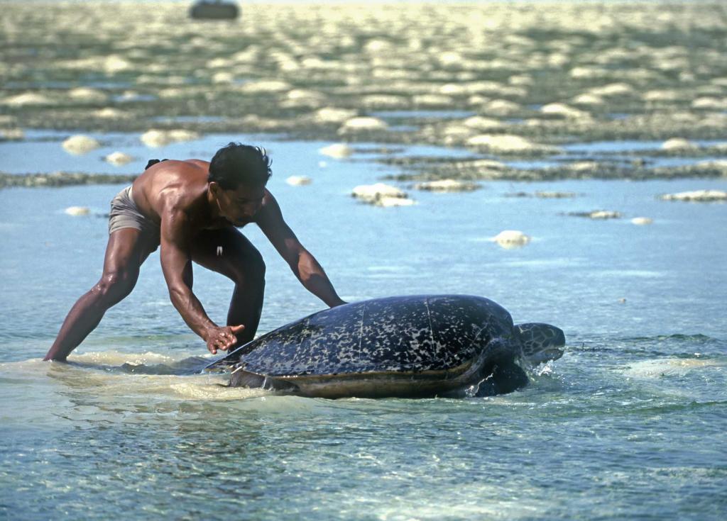 Into the Green Zone: Palawan Islands | Ivan About Town