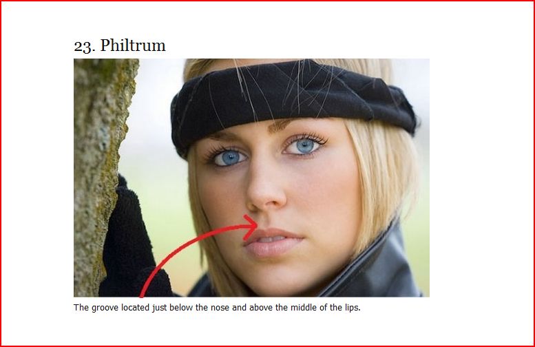 daily facts: Philtrum