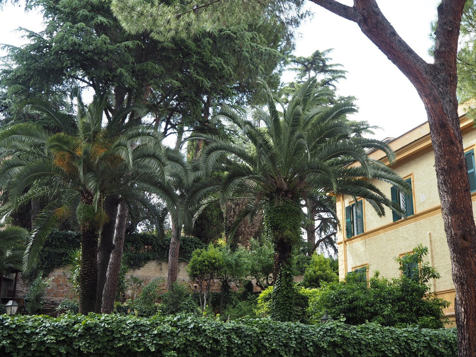 Travel - Rome {Part 1 of the Italian travelogue} - Roses and Rolltops