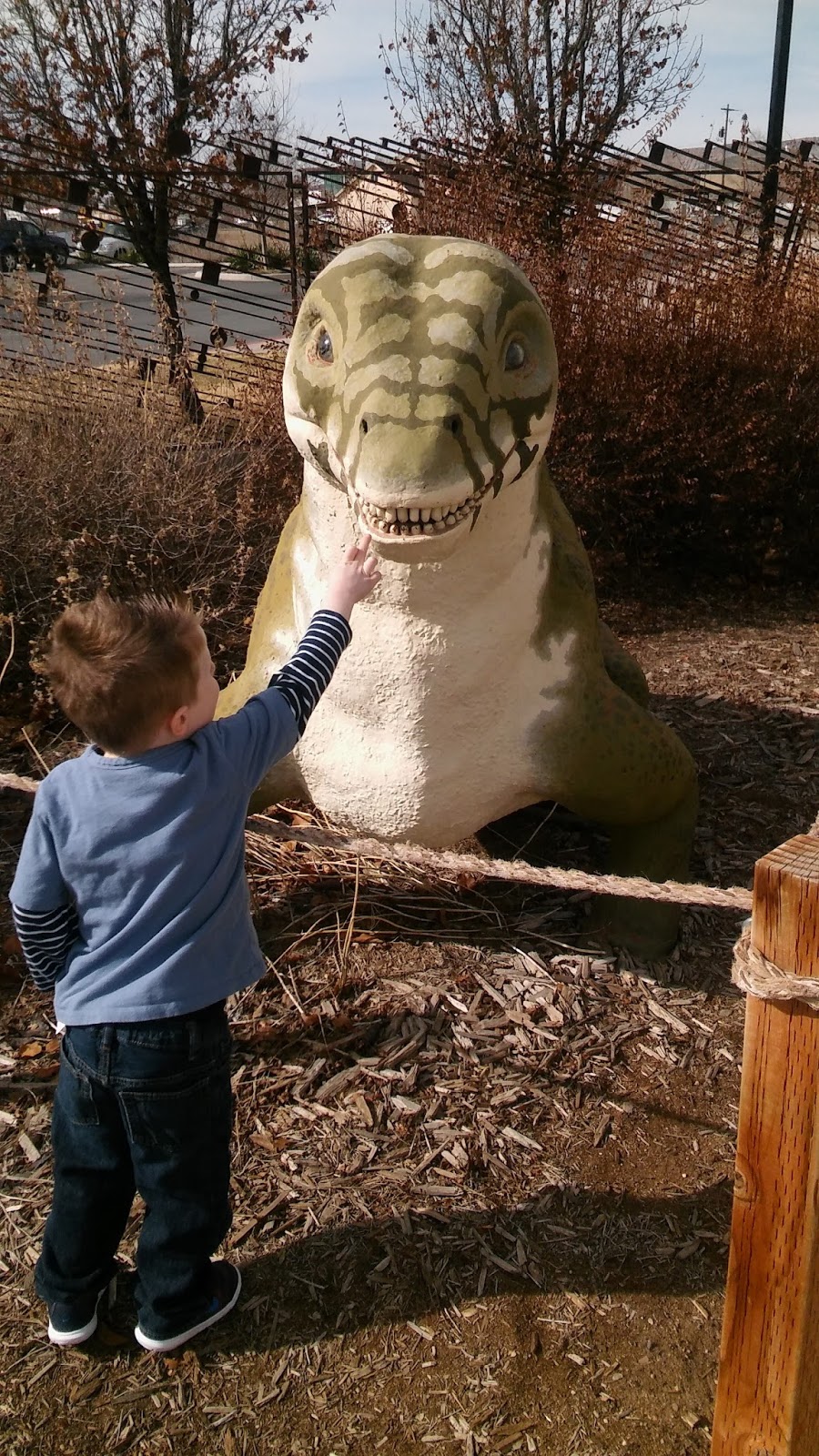 Dear Person Reading This,: June 2016