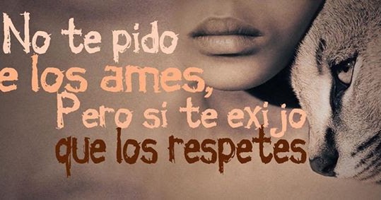 AVE FENIX ARGENTINA : Animales de la Comuna 9 (Liniers, Mataderos y ...