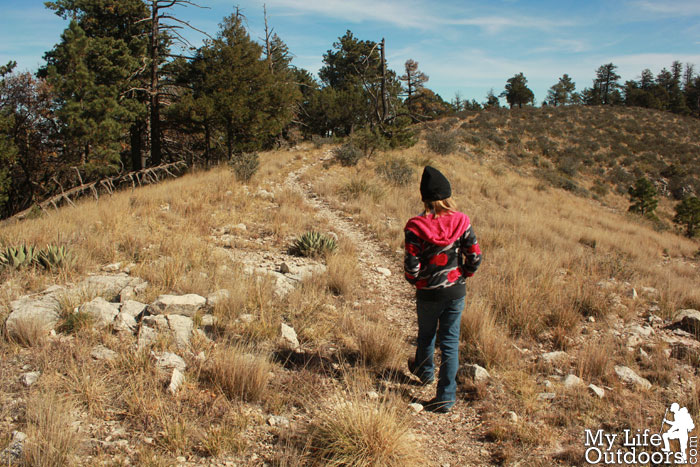 Bush Mountain Overnight - 8631 feet, Second Highest Peak in Texas - My ...