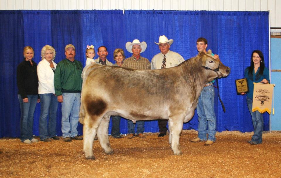 Skinner Cattle Co: Captain Morgan Calves