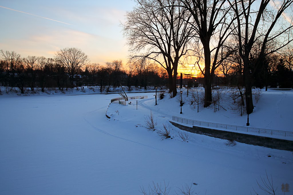 My Footprints on the Poetic Earth: 12022014---Late Afternoon at a Sunny ...