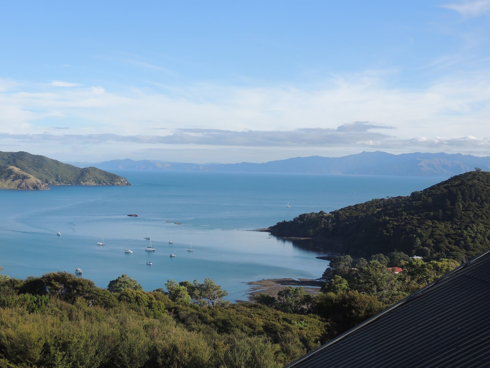 THE ROAD TAKEN : Thursday in Tryphena, Great Barrier Island