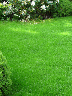 Gartenblog Geniesser-Garten : Pflegeleichter Garten