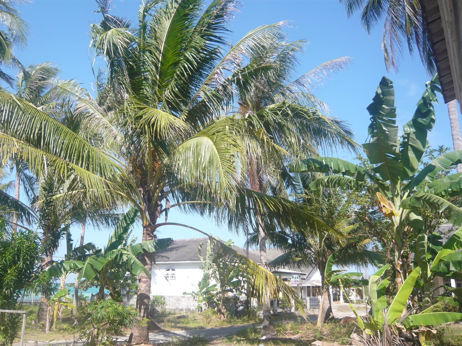 Masalembu City: Pulau Masalembu