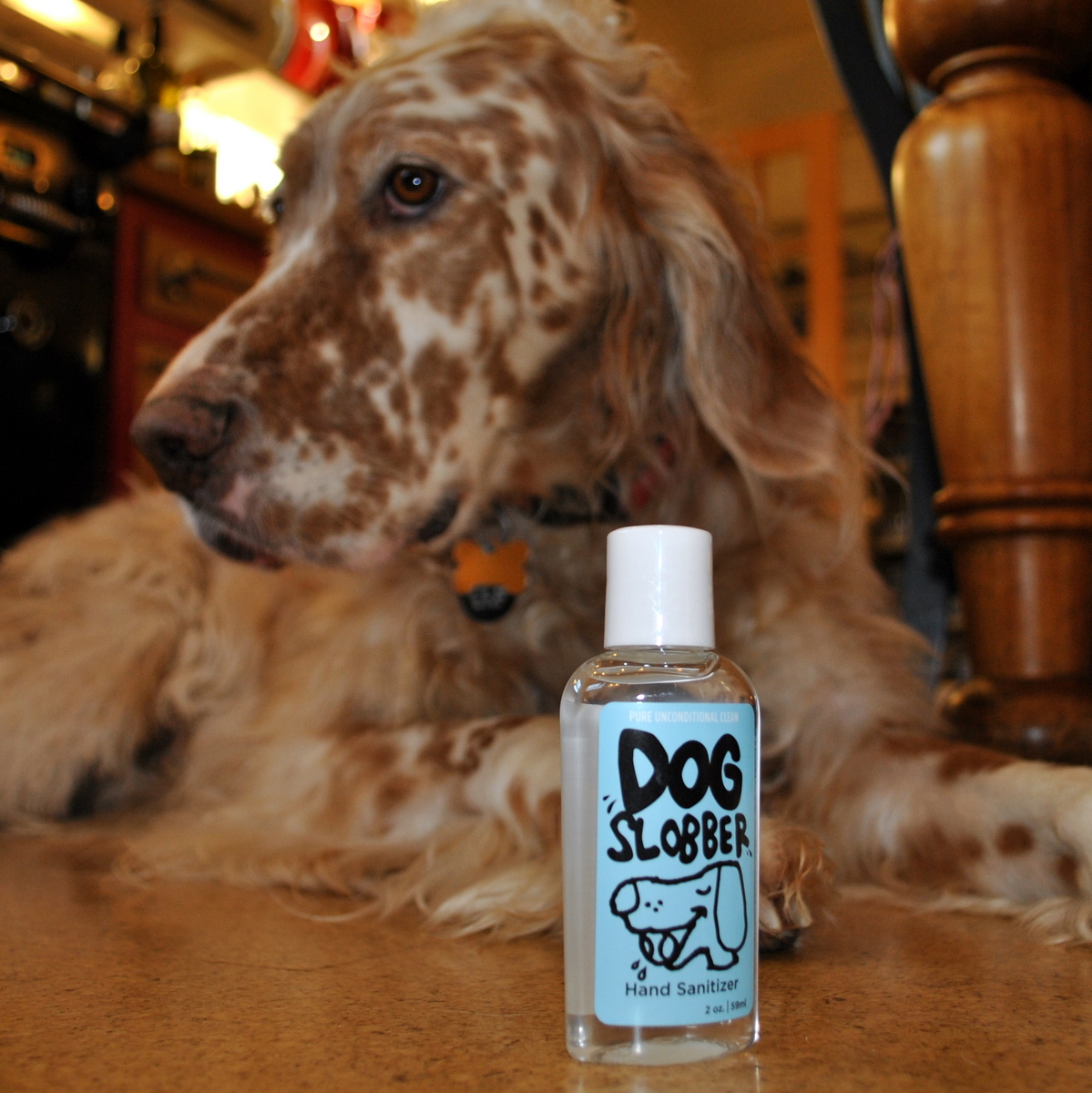 Pet~Pourri: Pets and Purses