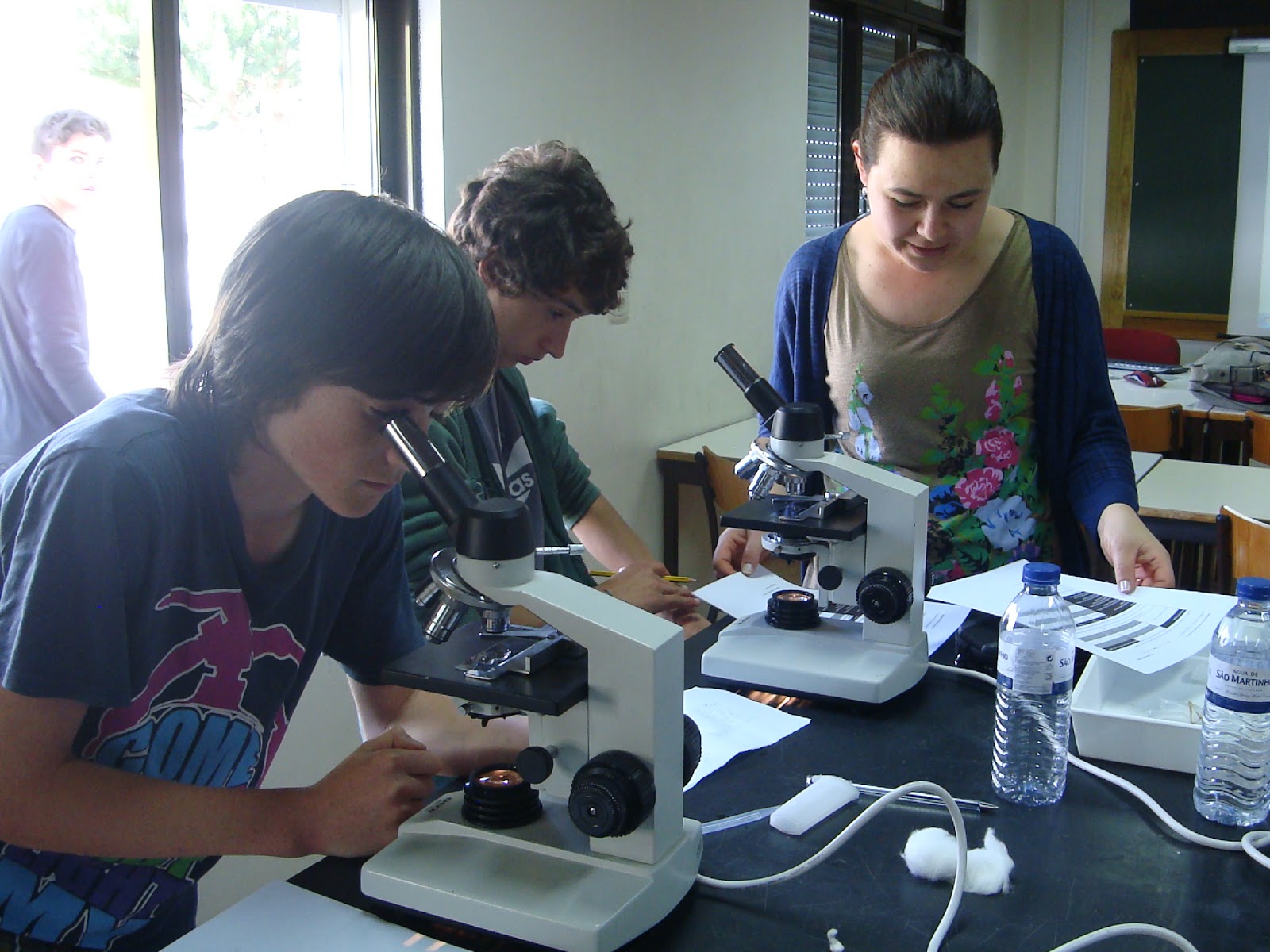 Projeto Ciências Experimentais: Projeto "Daphnia"