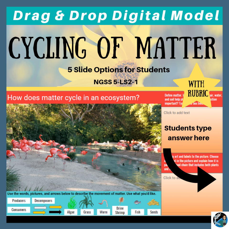 Food Chain Activity Digital Model Polka Dots Protons Food Chain Activity Digital Model Polka Dots Protons