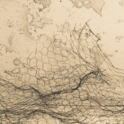 jean larson photography