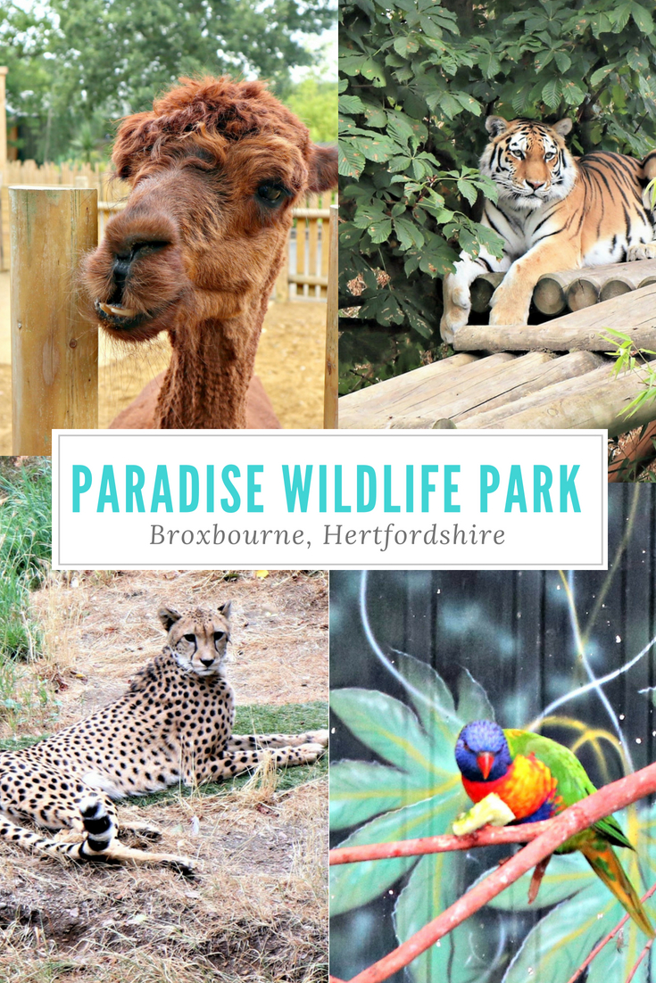 Paradise Wildlife Park Review | The Parent Game