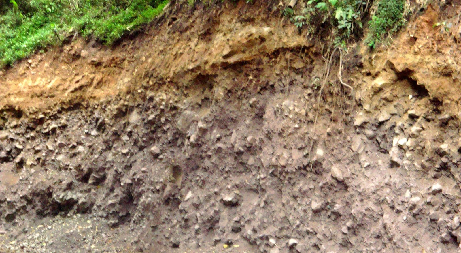 nuansa masel: Profil Tanah--Andisol