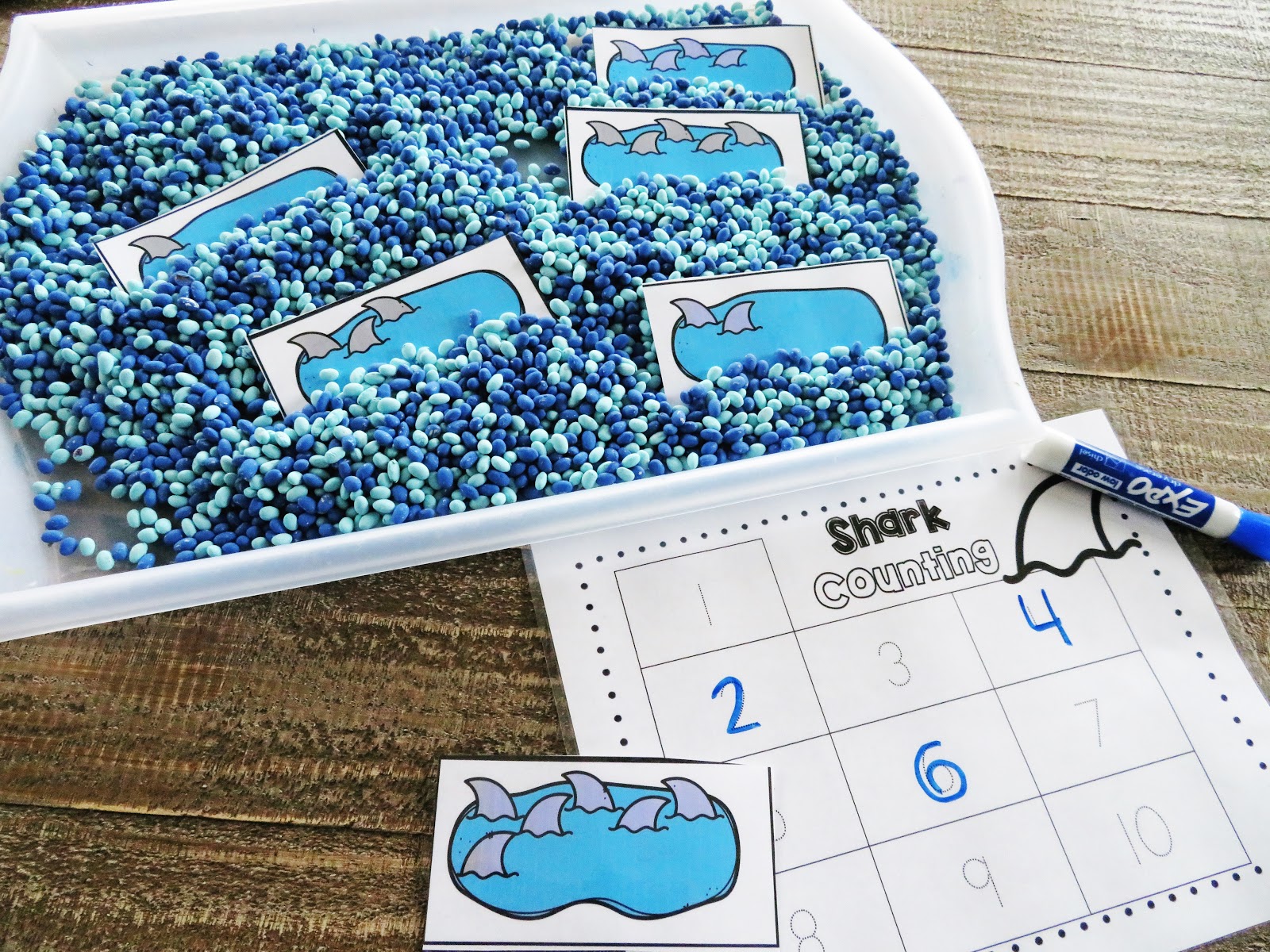 Ocean Preschool Theme