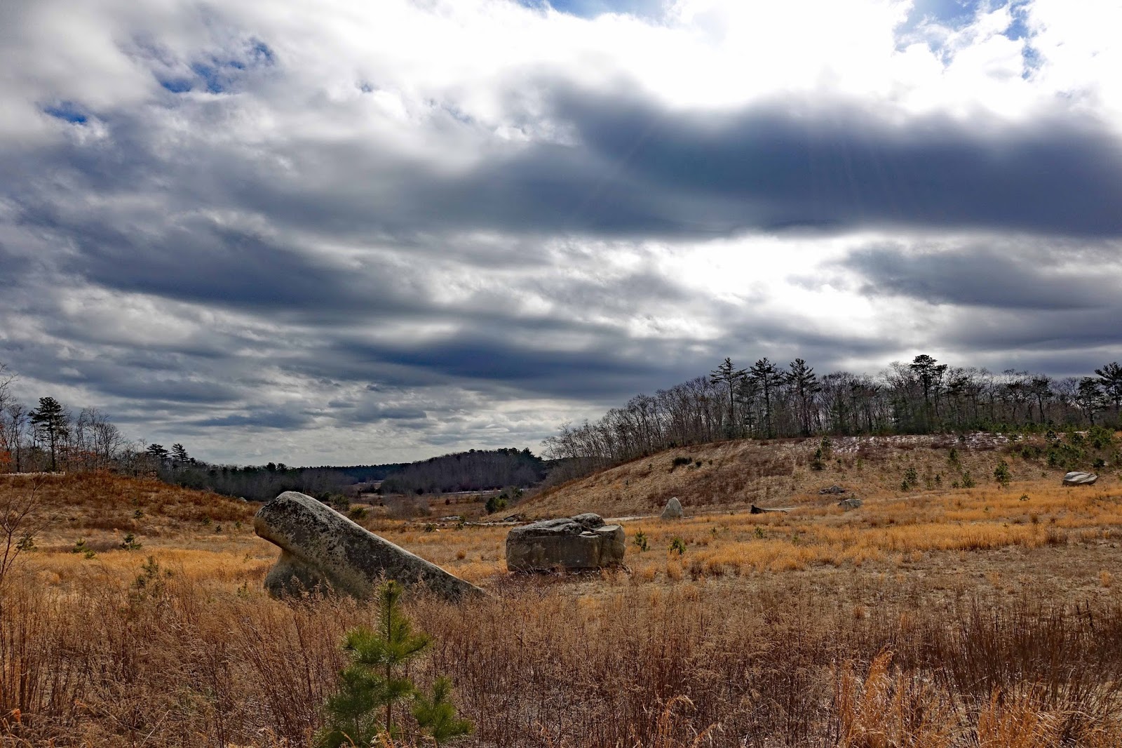 Joe's Retirement Blog: Tidmarsh Wildlife Sanctuary, Mass Audubon ...