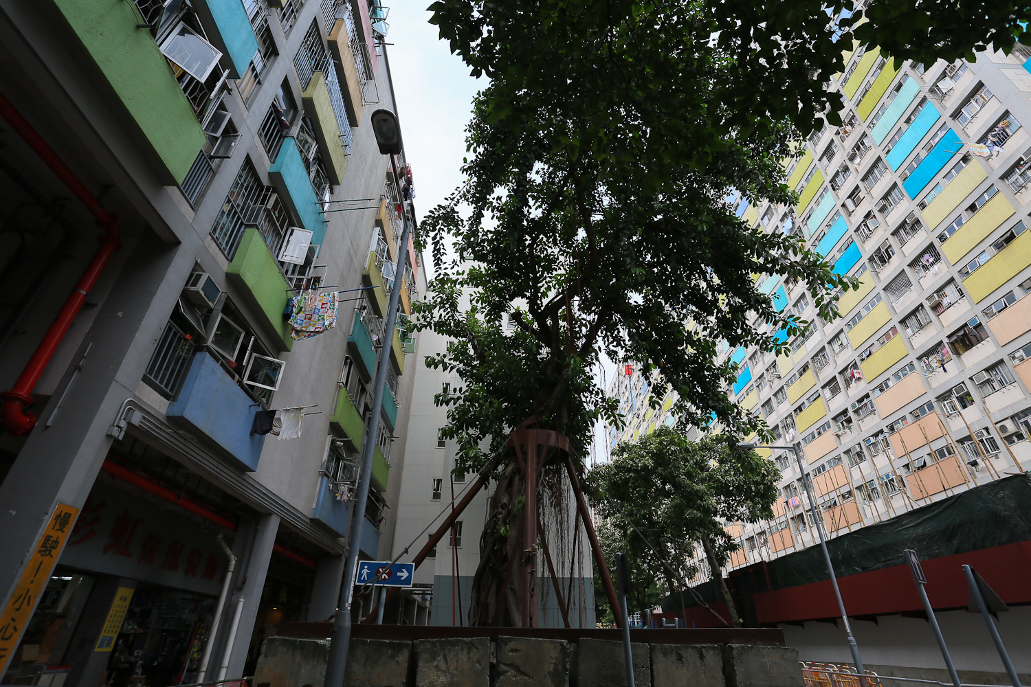In the Sky: Choi Hung Estate, aka Rainbow Estate Kowloon HK