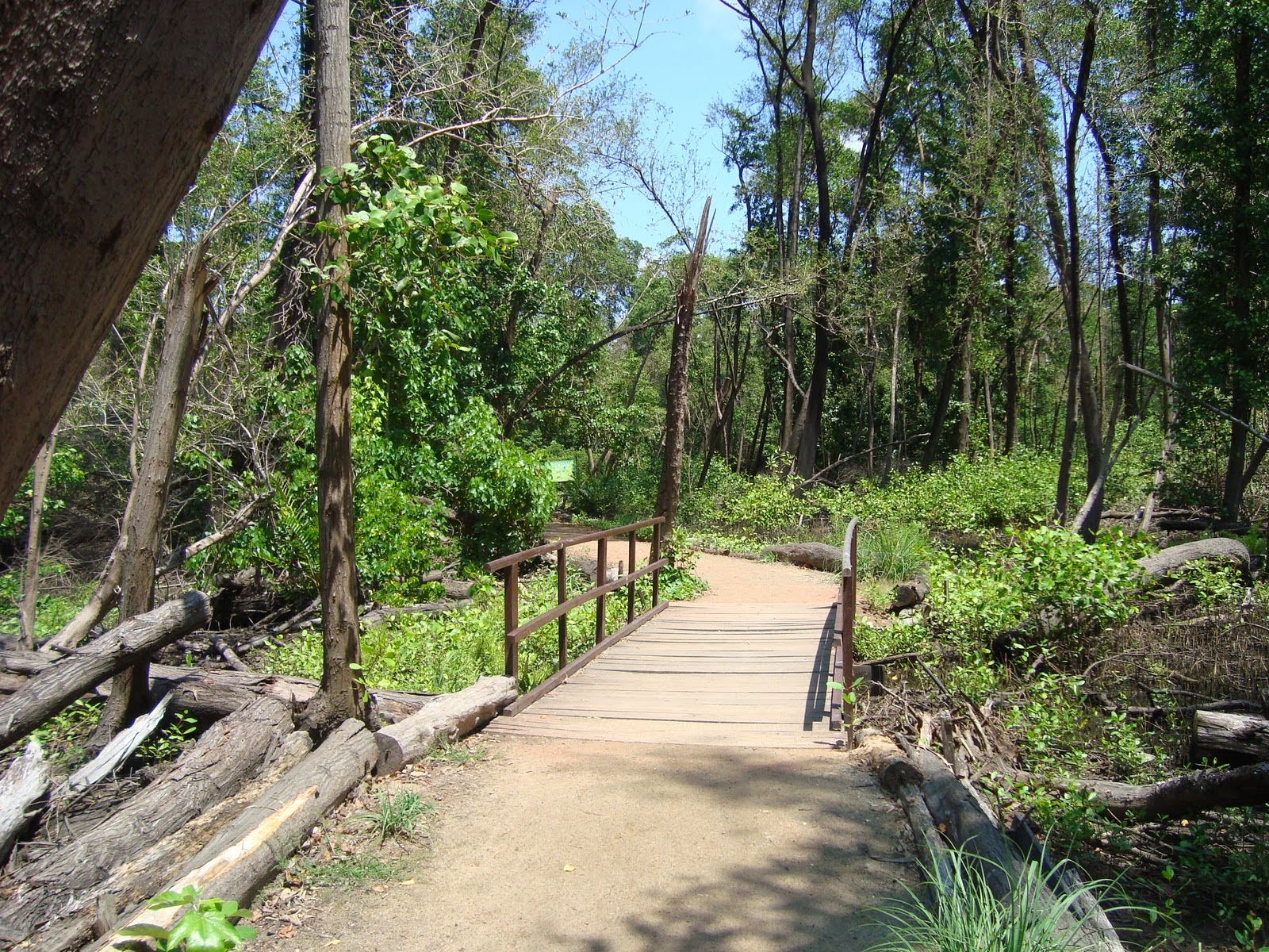 Parque Ecológico do Rio Cocó - Fortaleza, Ceará.