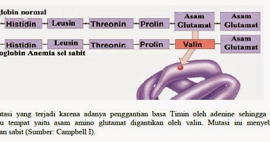MUTASI PADA MAHLUK HIDUP: pengertian mutasi