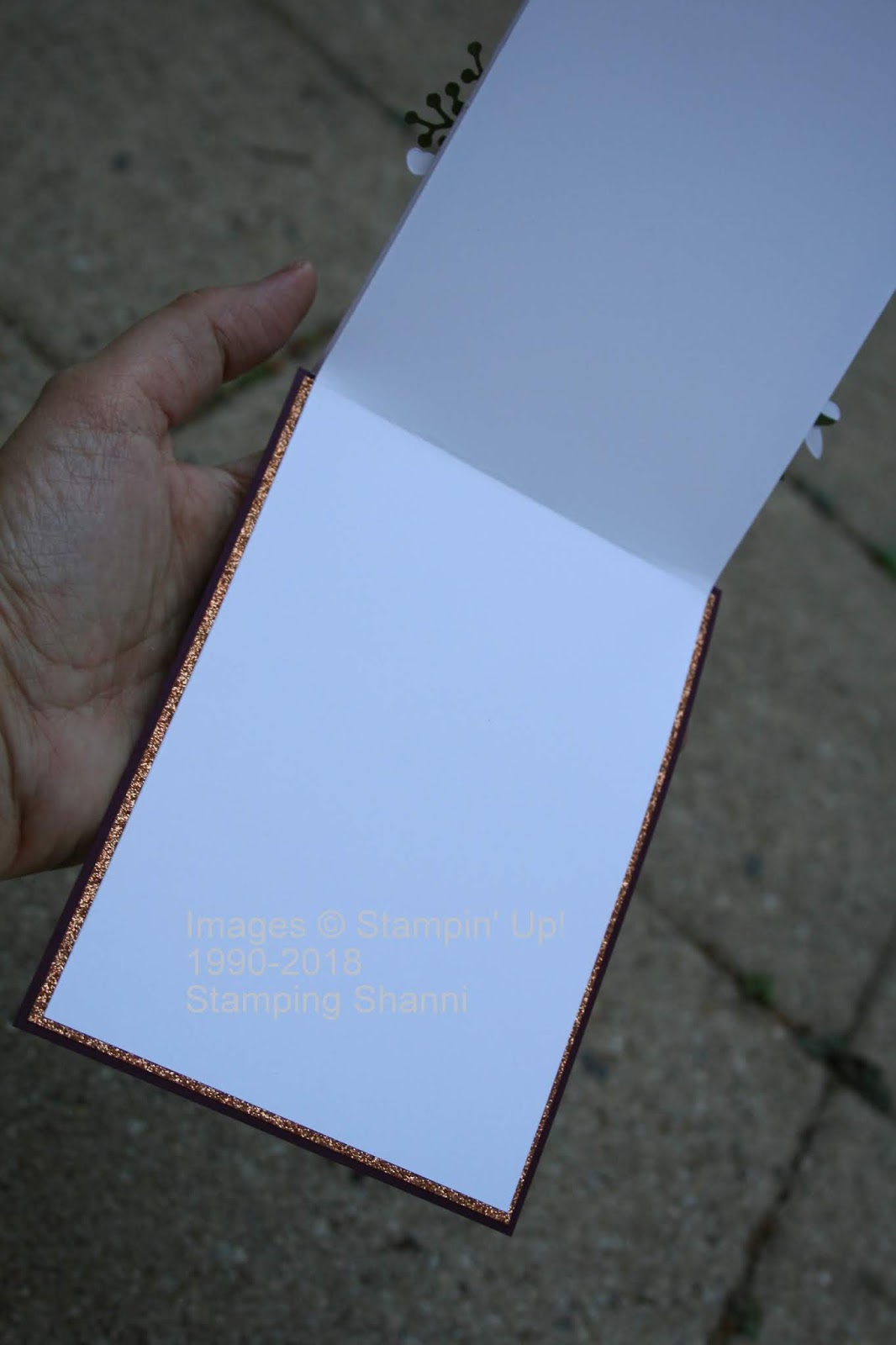 Stamping Shanni: Fancy Folds - Sliding Pop Up Cards