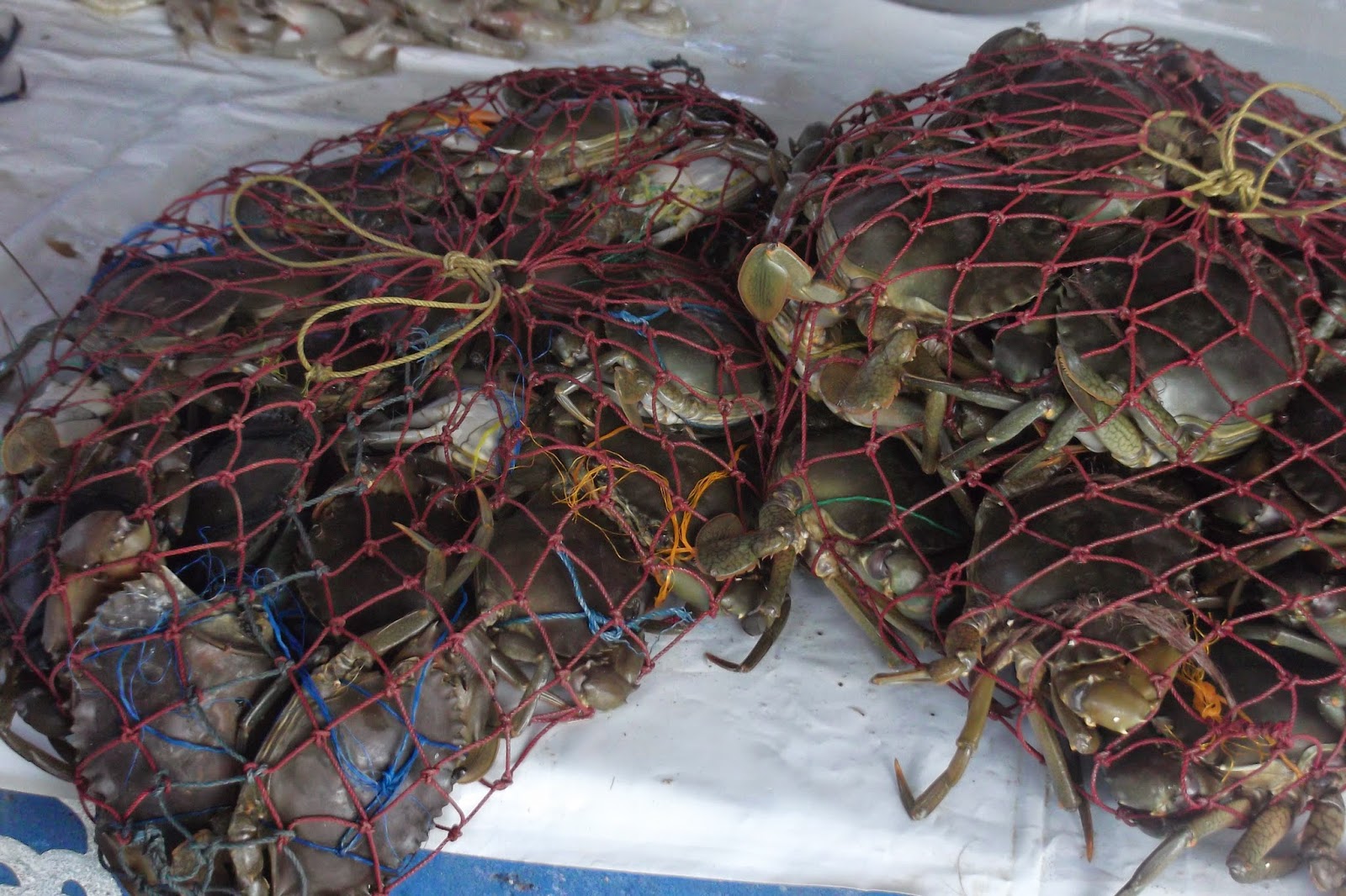 NEGOMBO SEAFOODS: LAGOON CRAB