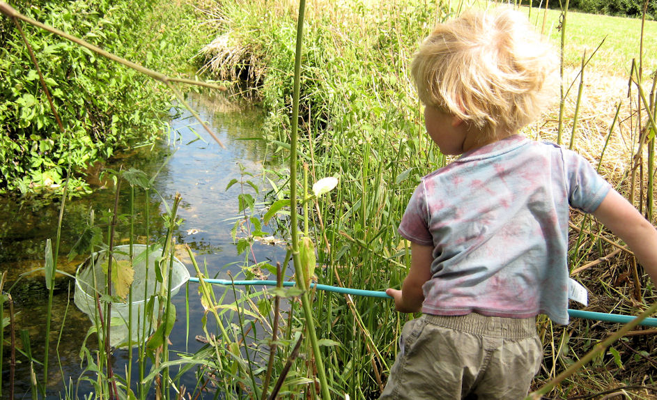This is me Sarah mum of 3: Great Outdoors - Pond Dipping