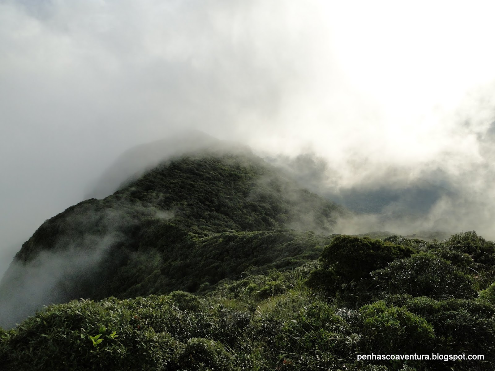 Maumau Ecos Aventura: Morro Capivari Grande Numa Tarde