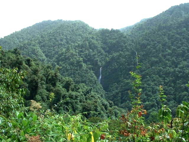 ECOSISTEMAS DE COSTA RICA: PARQUE NACIONAL TAPANTÍ-MACIZO DE LA MUERTE